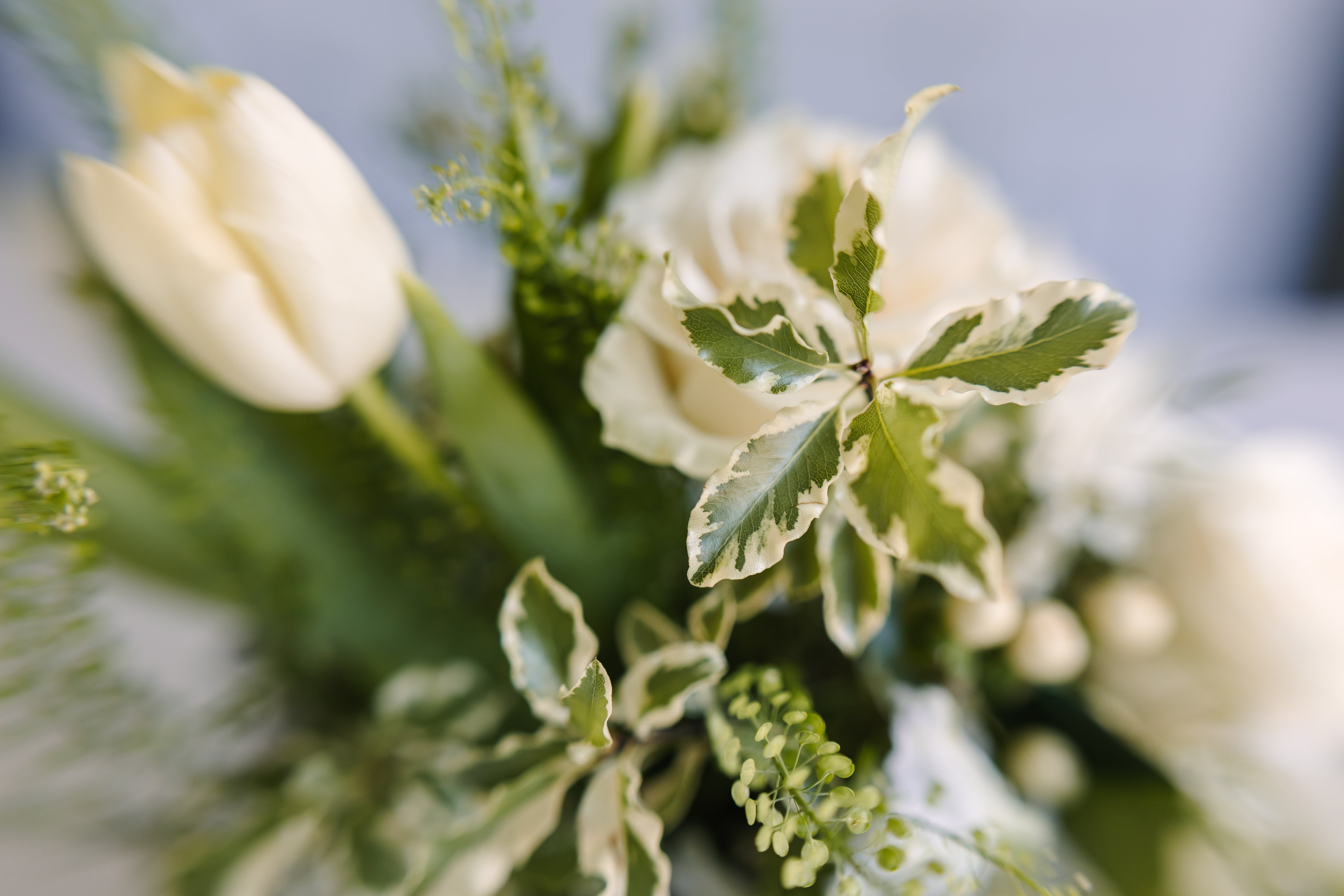Fresh Flowers – Pepper & Fern Floral Design